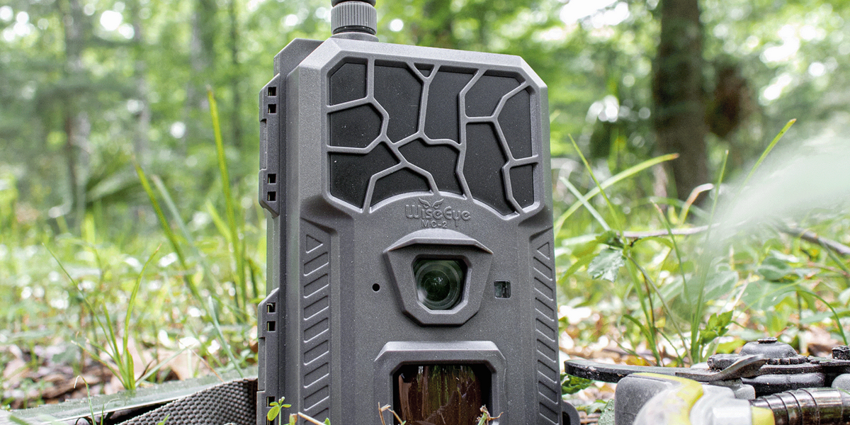 How to Use Trail Cameras for Security and Property Monitoring ...