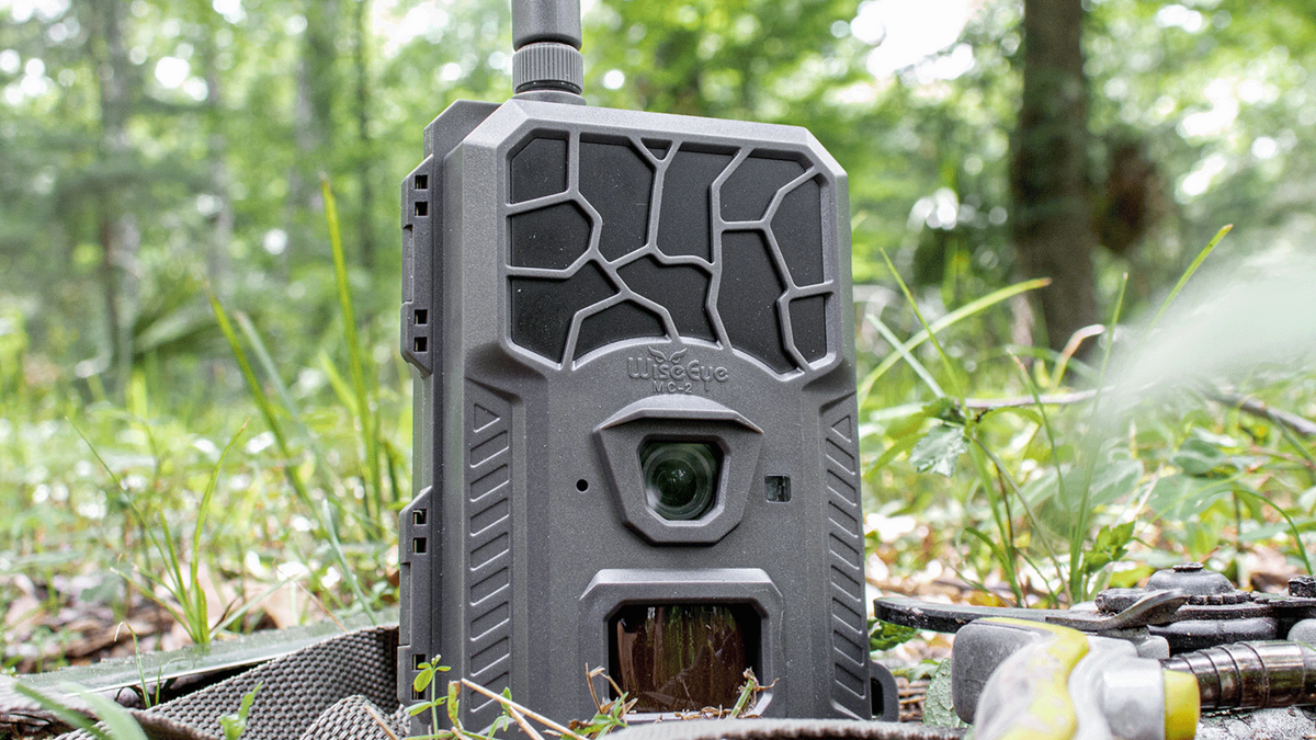 How to Use Trail Cameras for Security and Property Monitoring — HuntEmUp