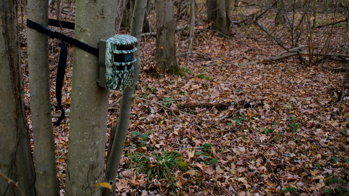 Setting Up Your Trail Camera: 5 Best Tips for Optimal Placement — HuntEmUp