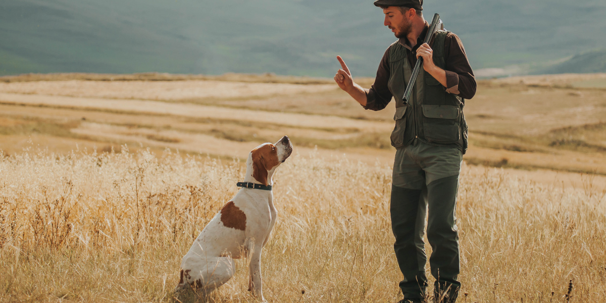 The Ultimate Guide to Positive Reinforcement in Dog Training — HuntEmUp ...