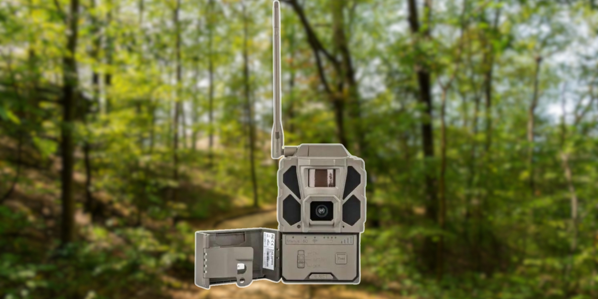Trail Camera Maintenance: Keeping Your Gear in Top Shape — HuntEmUp