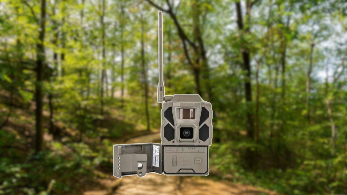 Trail Camera Maintenance: Keeping Your Gear in Top Shape — HuntEmUp