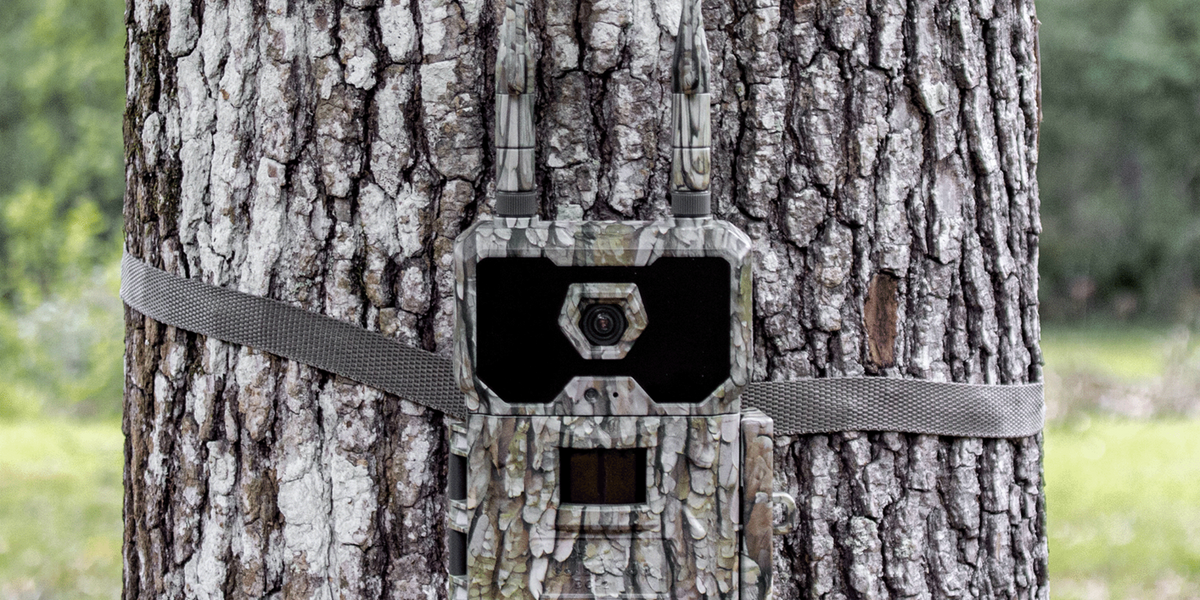 Using Trail Cameras for Wildlife Observation and Research — HuntEmUp