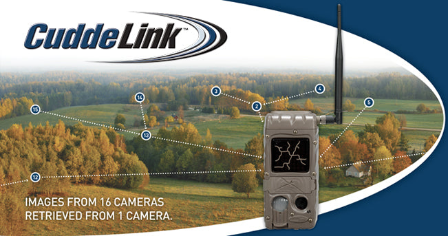 What is Cuddeback Cuddelink System — HuntEmUp