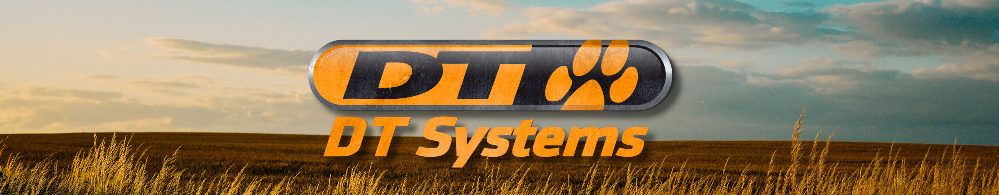 DT Systems — HuntEmUp