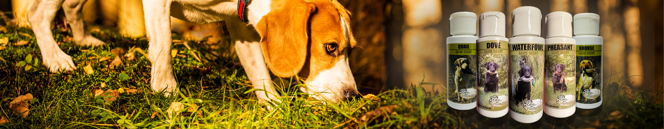 Training Scents — HuntEmUp