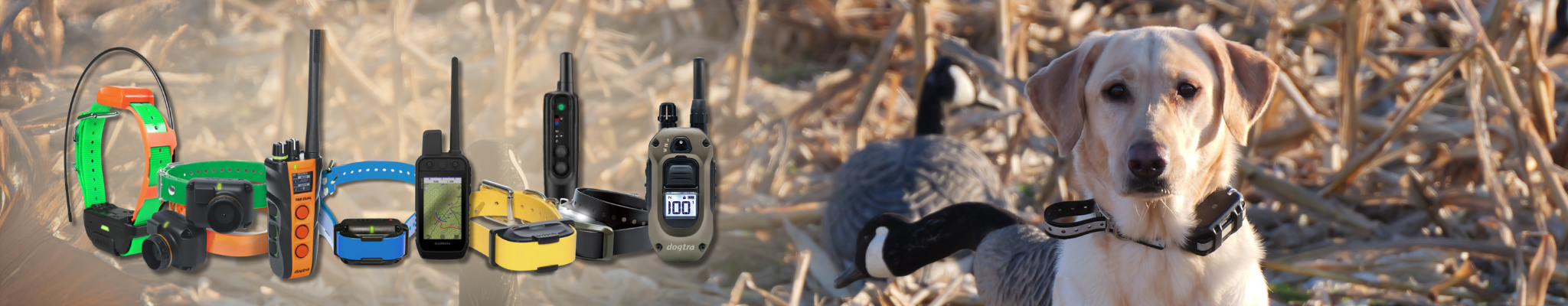 E-Collars — HuntEmUp Outdoors