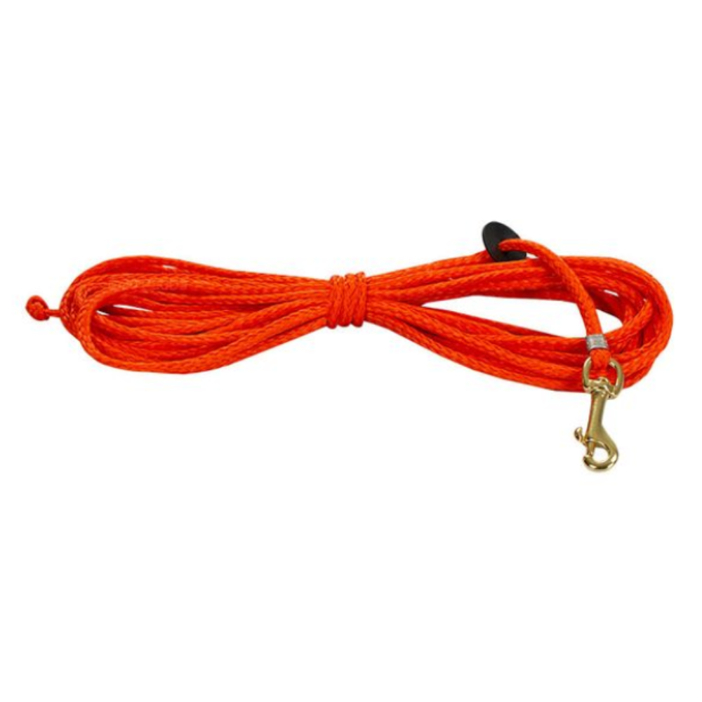 Dokken Puppy Check Cord - 30ft 2-in-1 Check Cord for Training Puppies ...