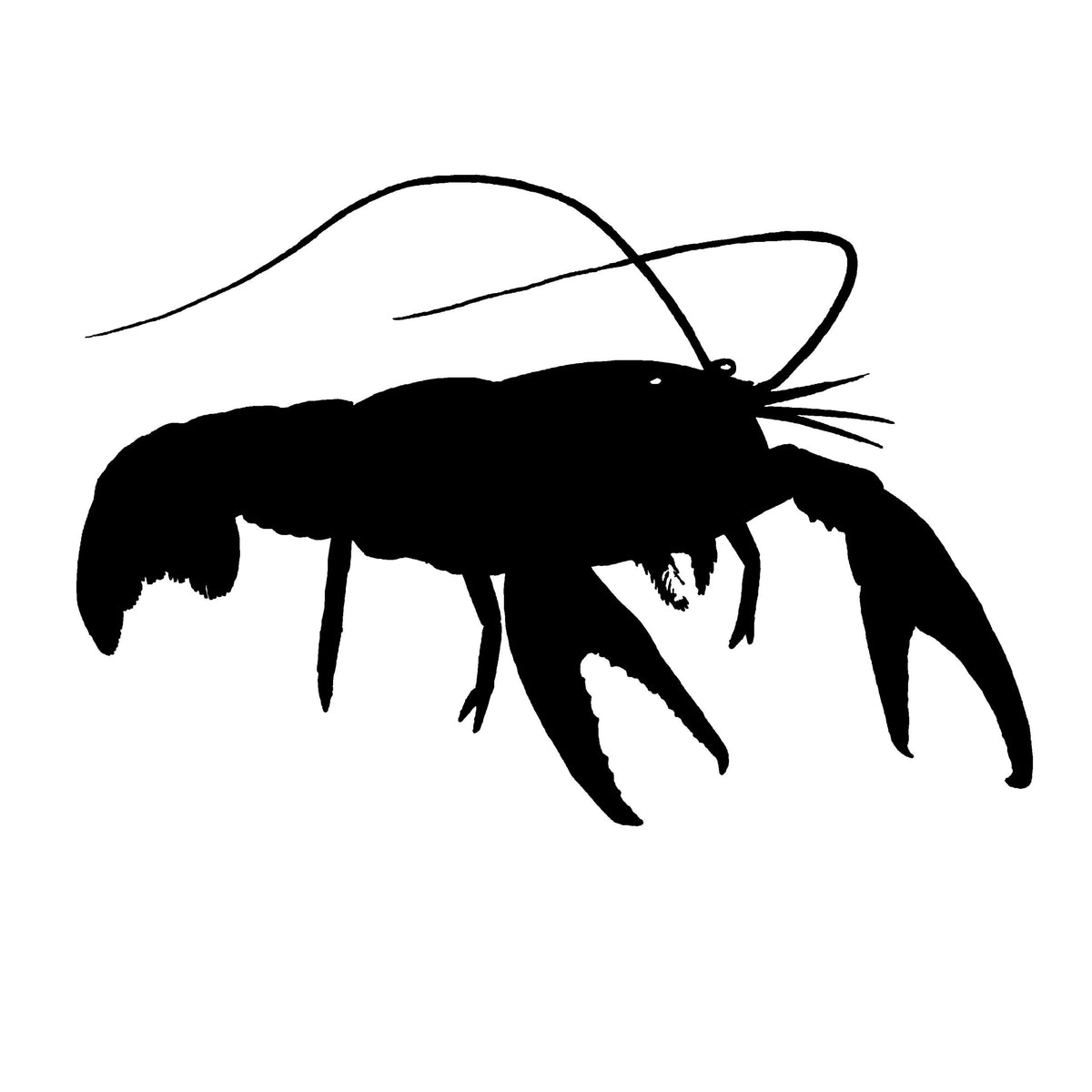 Crayfish Decal and Lobster Sticker – Unique 2301 Design — HuntEmUp