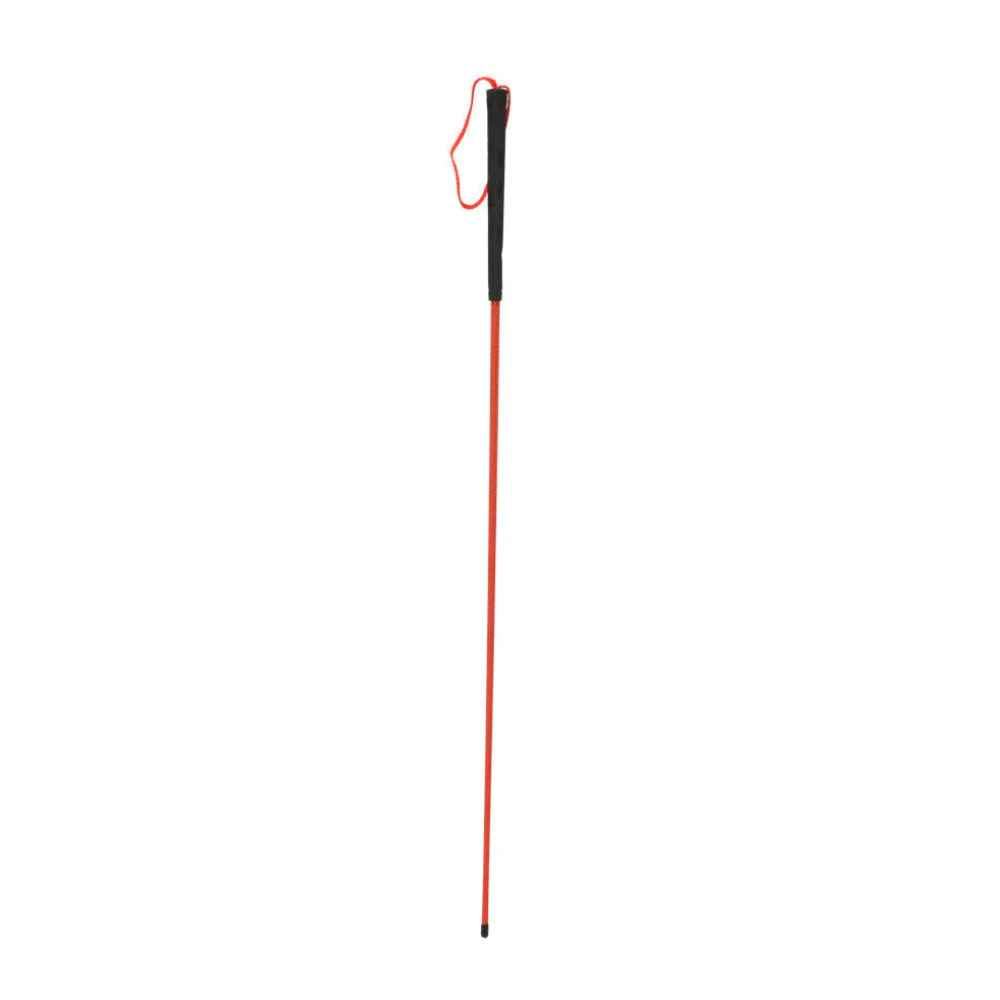 Avery Trainer's Heeling Stick for Effective Dog Training and Control ...