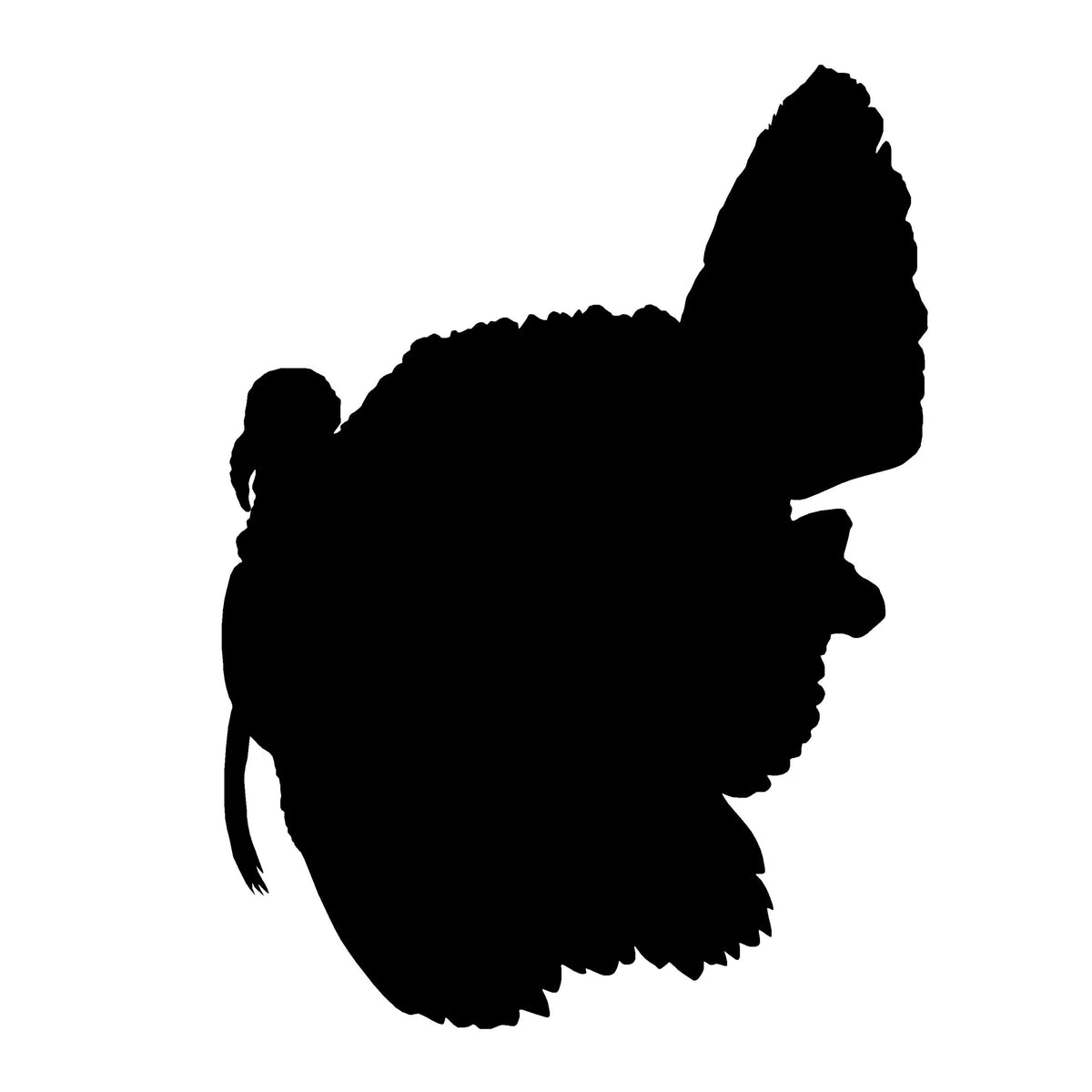 Turkey Strut Decal – Turkey Strut Sticker – 7012 — HuntEmUp