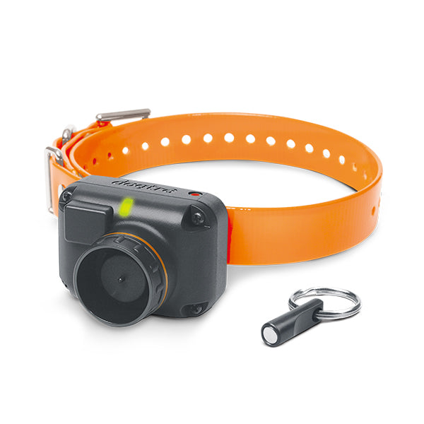 Dogtra Beeper Collar - STB Beeper Collar for Effective Training ...