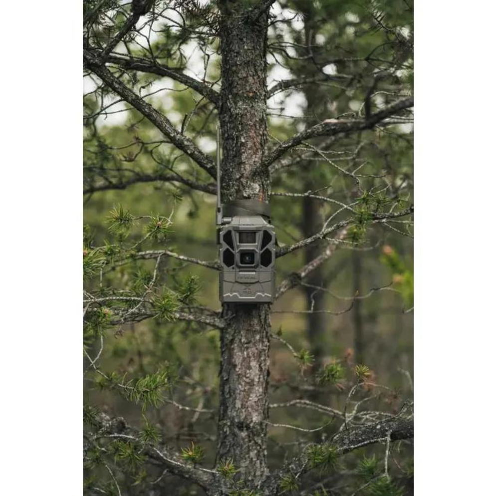 Tactacam REVEAL X 3.0 Trail Camera for Ultimate Wildlife Monitoring ...